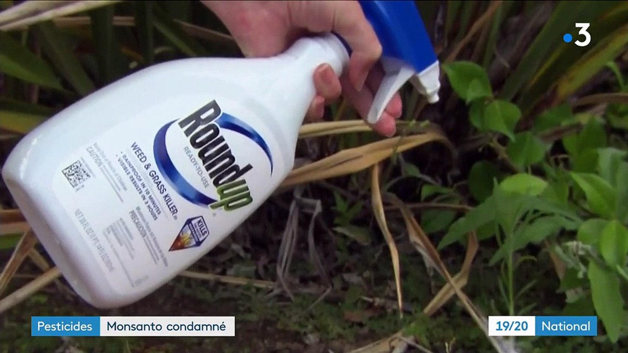 Pesticides : Monsanto condamné aux États-Unis - Vidéo Dailymotion