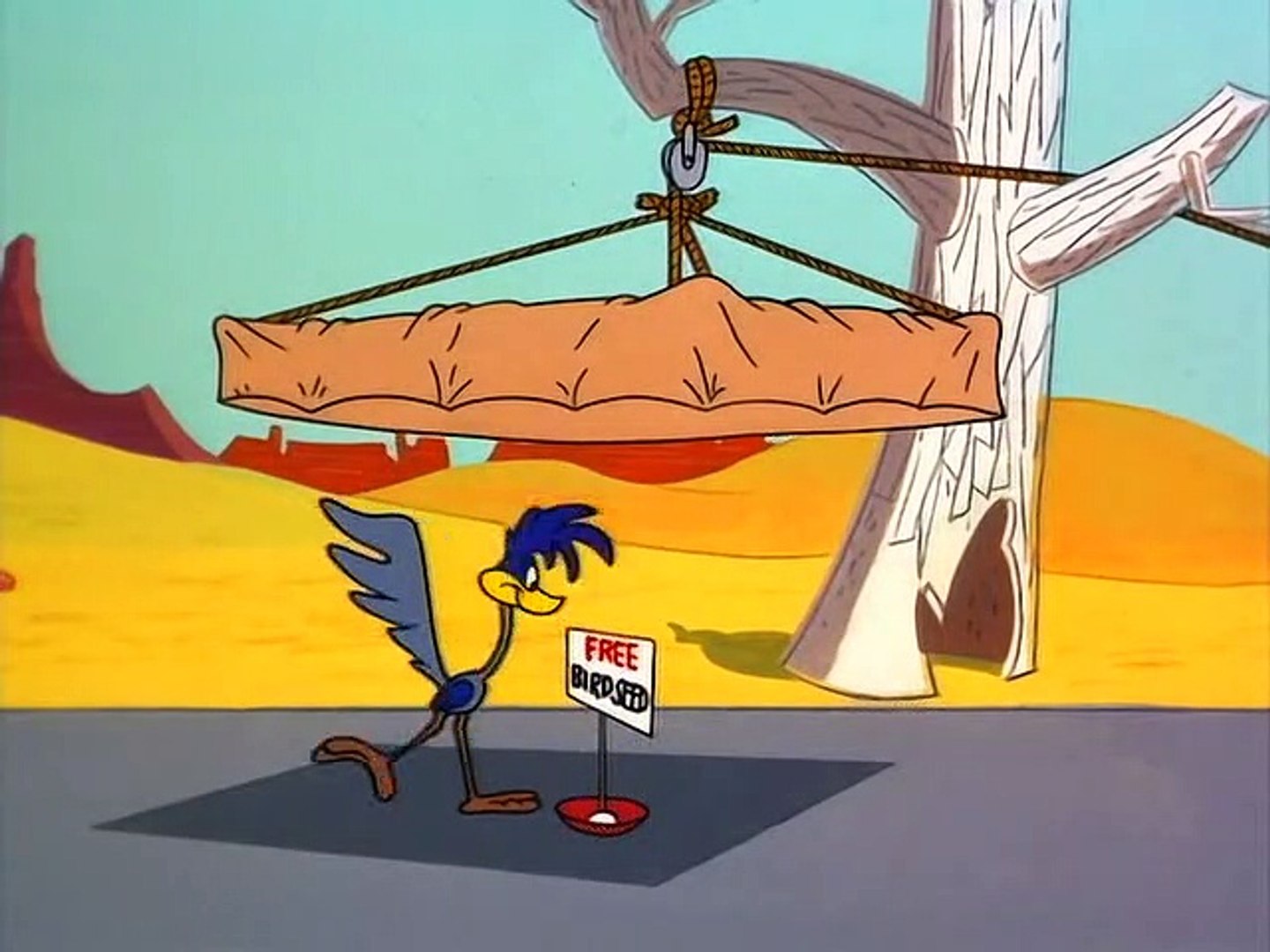 Correcaminos Dibujos Animados Hd 65 Ideas De Correcaminos