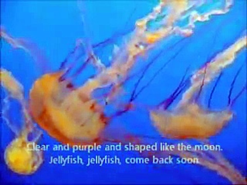 A relaxing childrens song about jellyfish, Jellyfish Lullabubble by ...