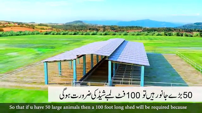 Modern Dairy Farm Plan BL Agro Launches Rs 1,000 Cr Dairy Breeding