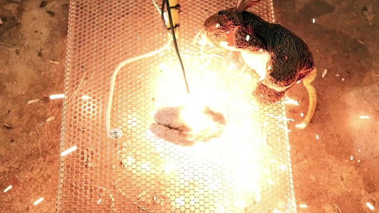 The Electrocuter Mousetrap From 1947. Mousetrap Monday - Dailymotion Video