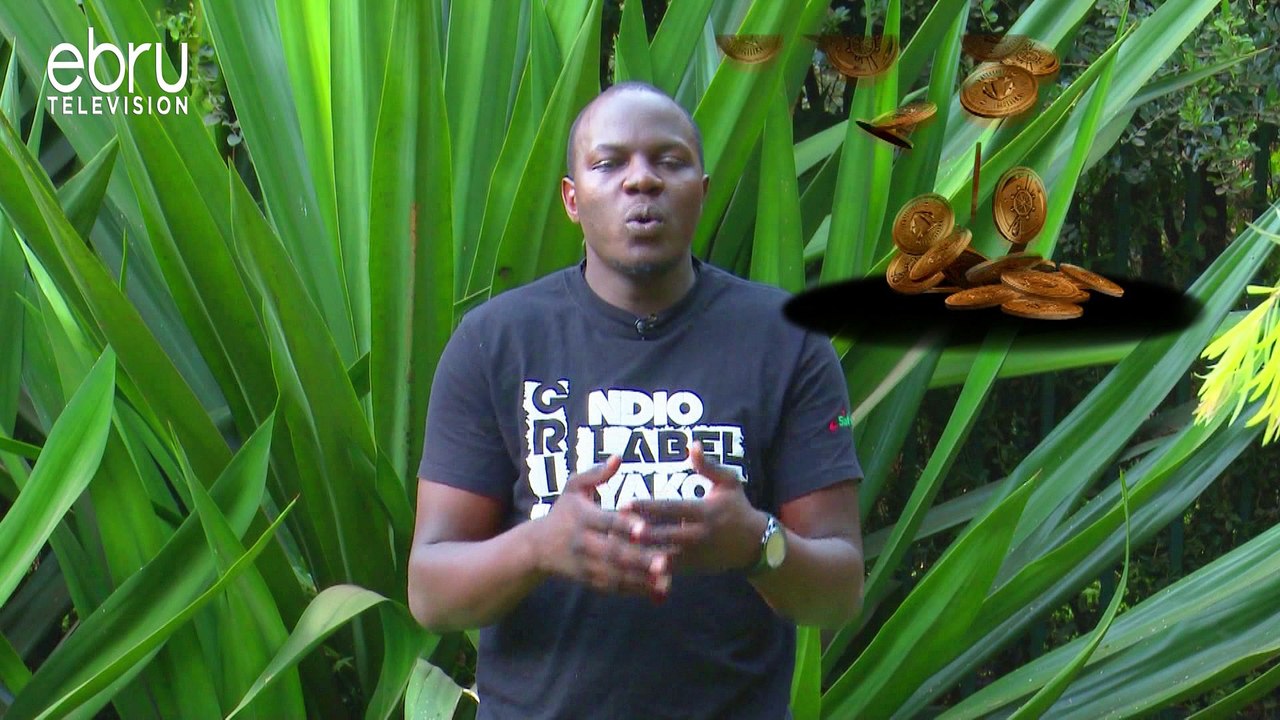 Tips On How To Get Into Agriculture With Brian RonoTips On How To Get ...