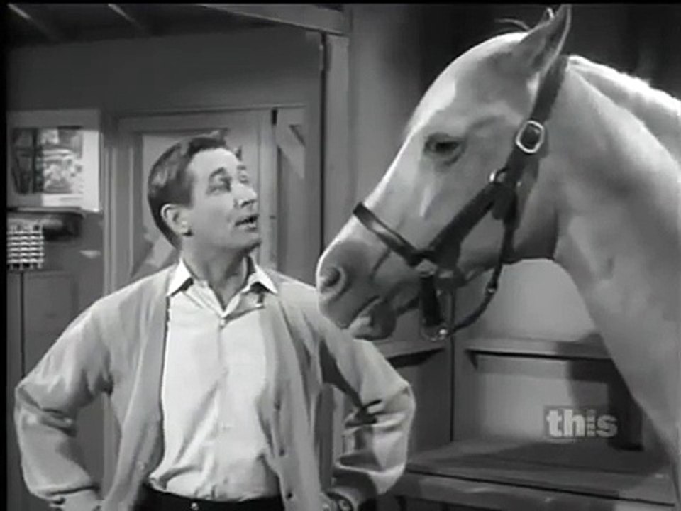 Mister Ed S6 | Anybody Got A Zebra - video Dailymotion