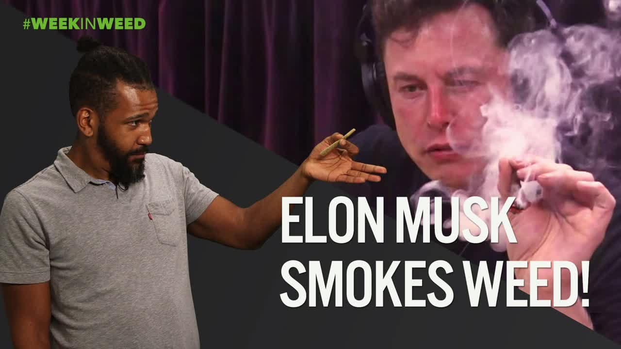 This Week in Weed: Elon Musk Smokes Pot! - video Dailymotion