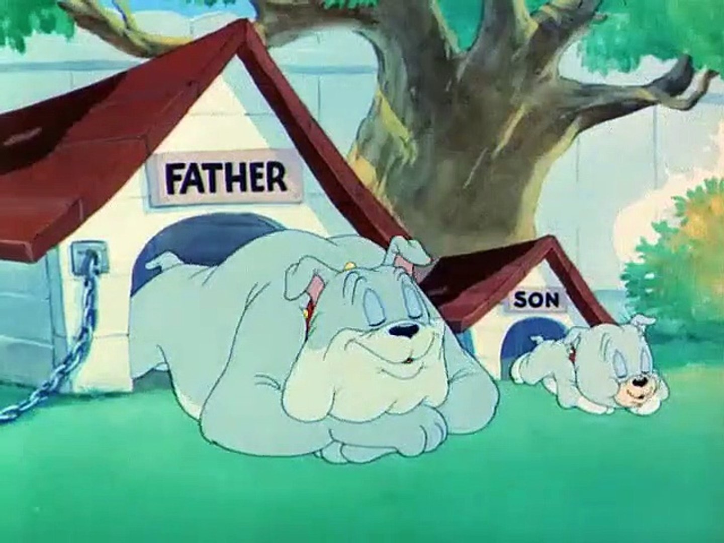 Tom And Jerry Cartoon Dog Tom Et Jerry Dans La Maison Du Chien, Dessin