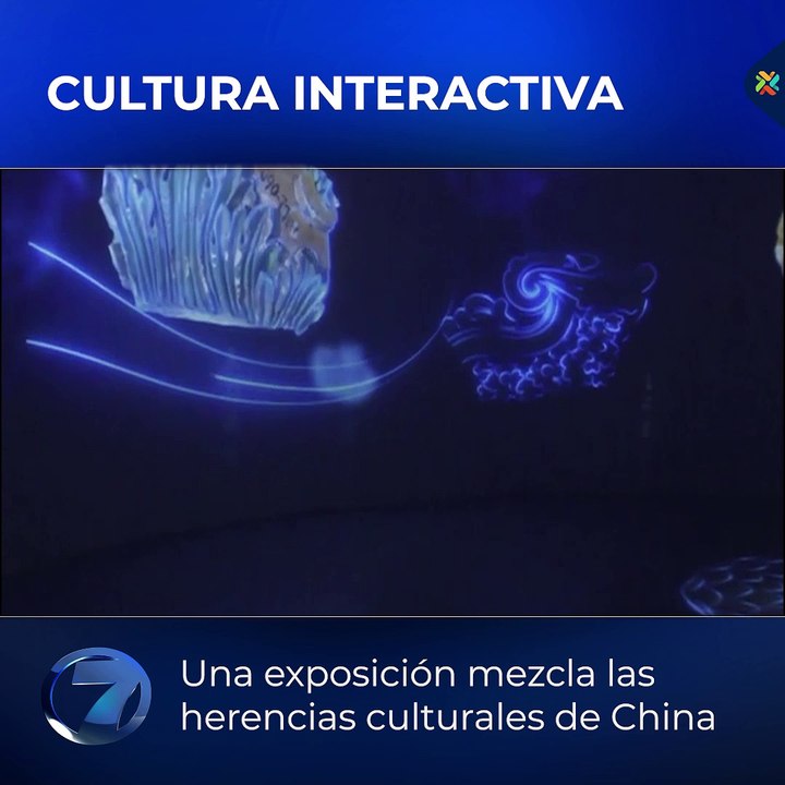 Cultura interactiva - Vídeo Dailymotion