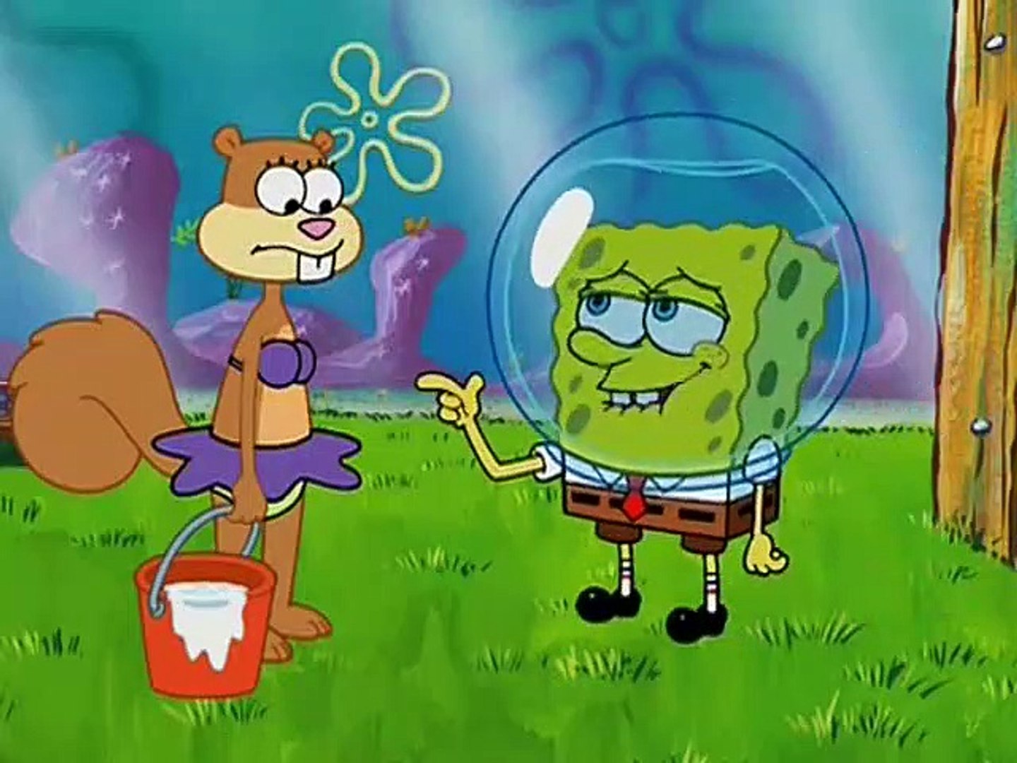 Spongebob Pre Letargo Settimana Pupazzo Di Neve