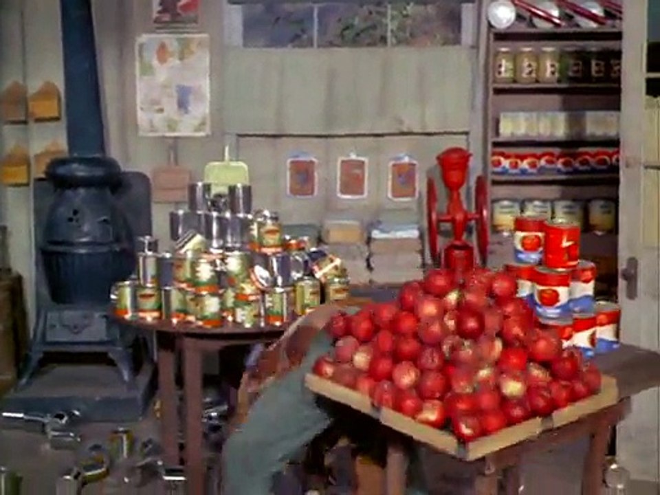 Green Acres S02e08 Eb Discovers The Birds And The Bees - video Dailymotion