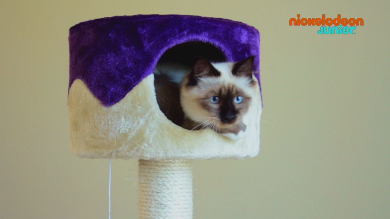 Zoofari | Nids douillets | NICKELODEON JUNIOR - Vidéo Dailymotion