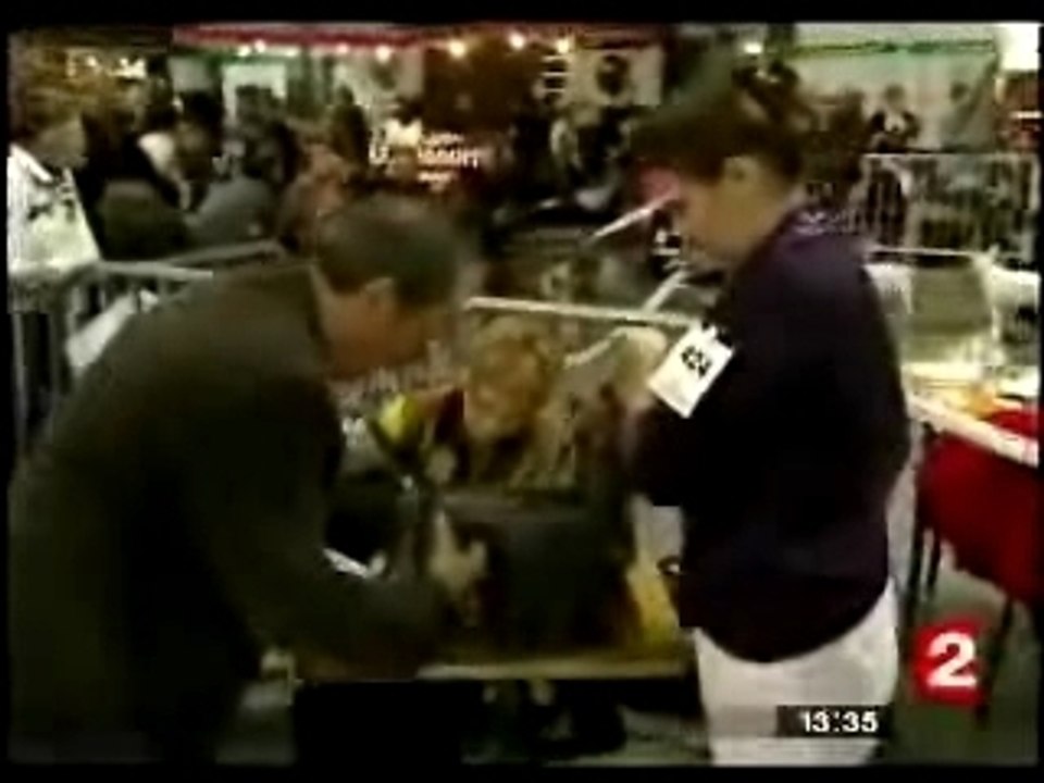 Mrs crazy 2007 - Vidéo Dailymotion