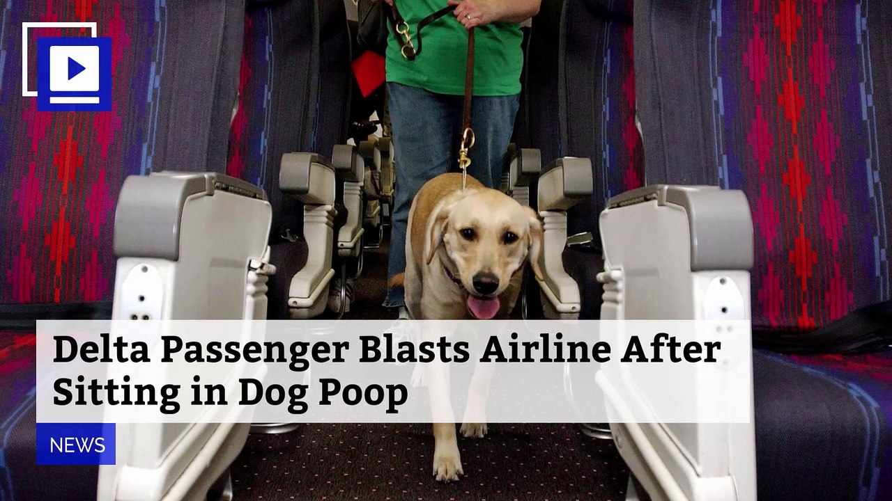 Delta Passenger Blasts Airline After Sitting in Dog Poop - video ...