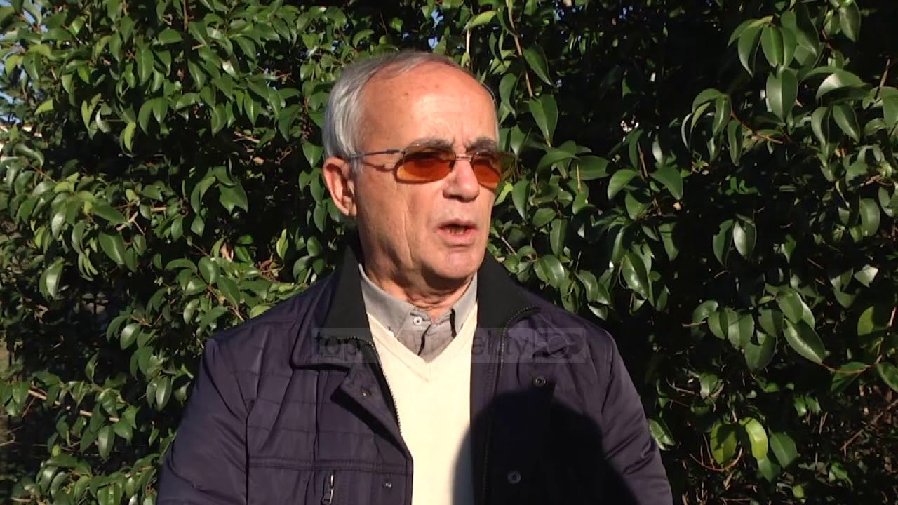 Shpendët shtegtarë të lagunës. Në Kune-Vain rikthehet pelikani kaçurrel ...