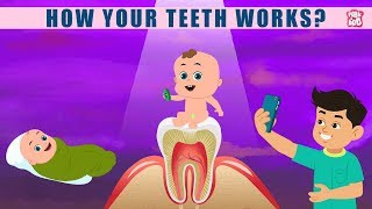 How Your Teeth Works? - The Dr. Binocs Show | Best Learning Videos For ...