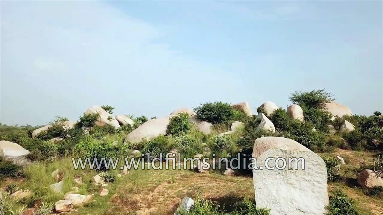 Bagepalli Chikballapur District in Karnataka near Bangalore- aerial ...