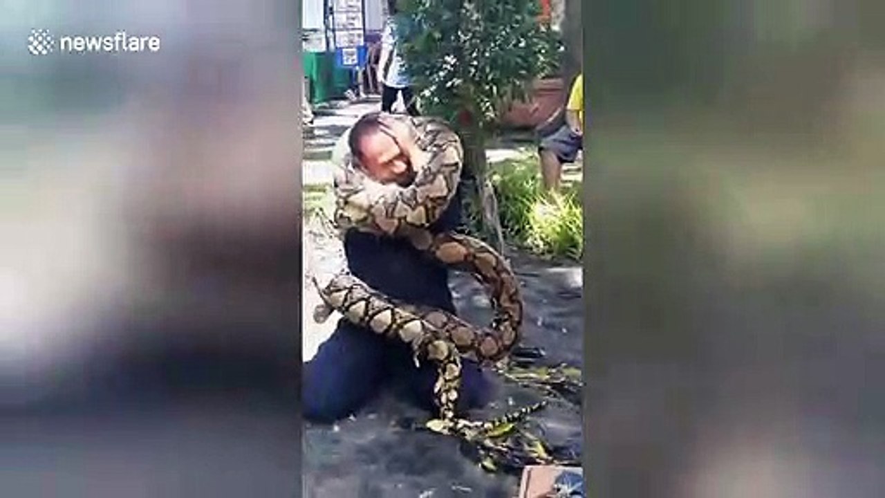 Python wraps itself around fireman’s head as safety demonstration goes ...
