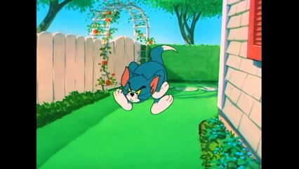 فيديوهات cartoon aflam - Dailymotion