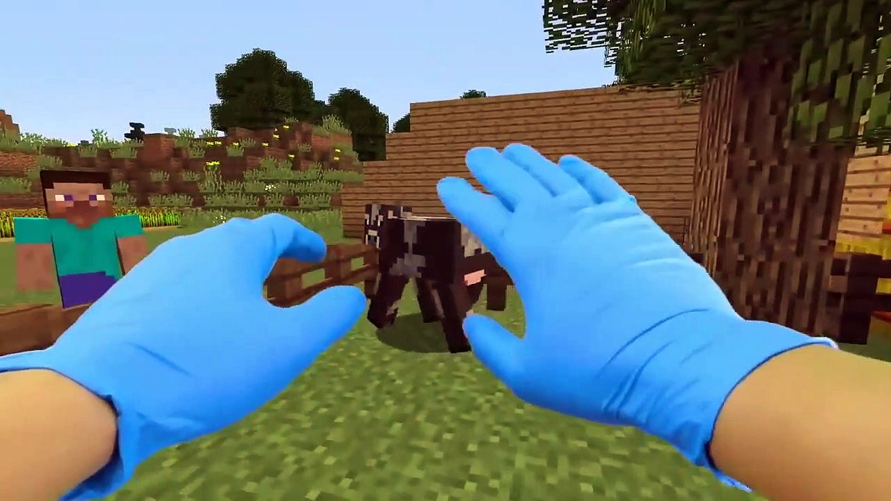 Realistic Minecraft in Real Life - TOP 5 - Dailymotion Video