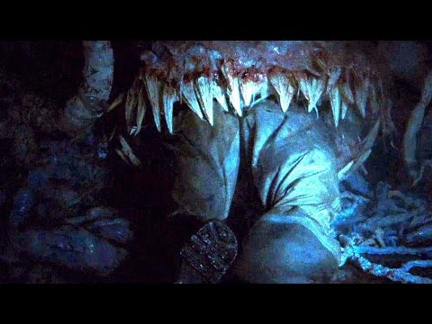 The Harbinger Experiment