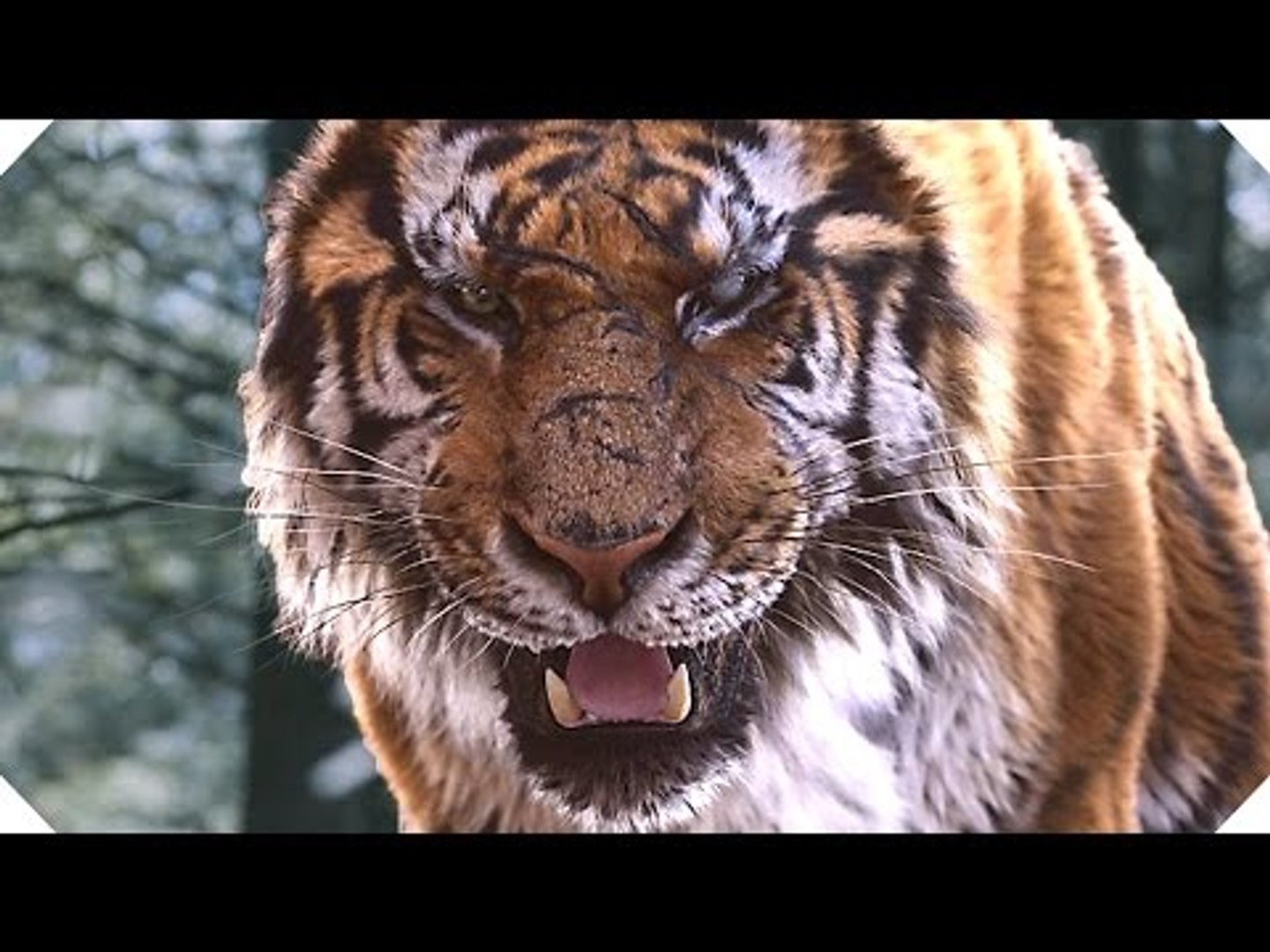 The Tiger Movie