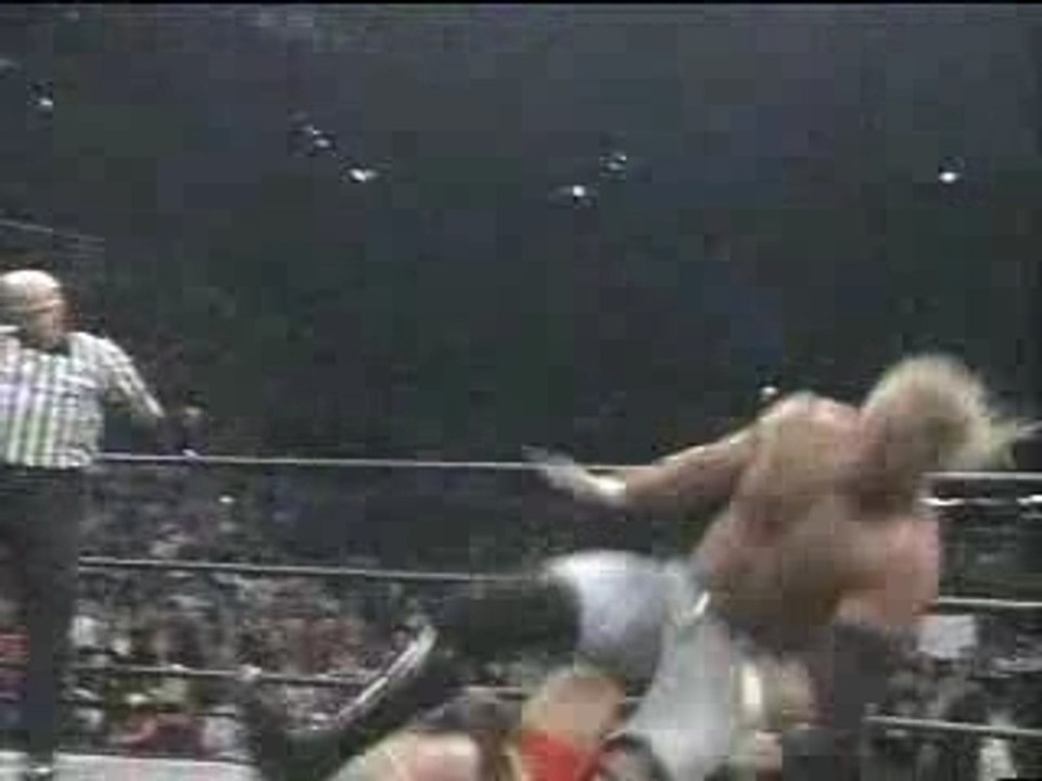 Sid Vicious Leg Breaks - video Dailymotion