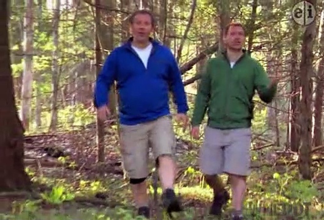 Wild Kratts - Mystery of the Weird Looking Walrus - video Dailymotion