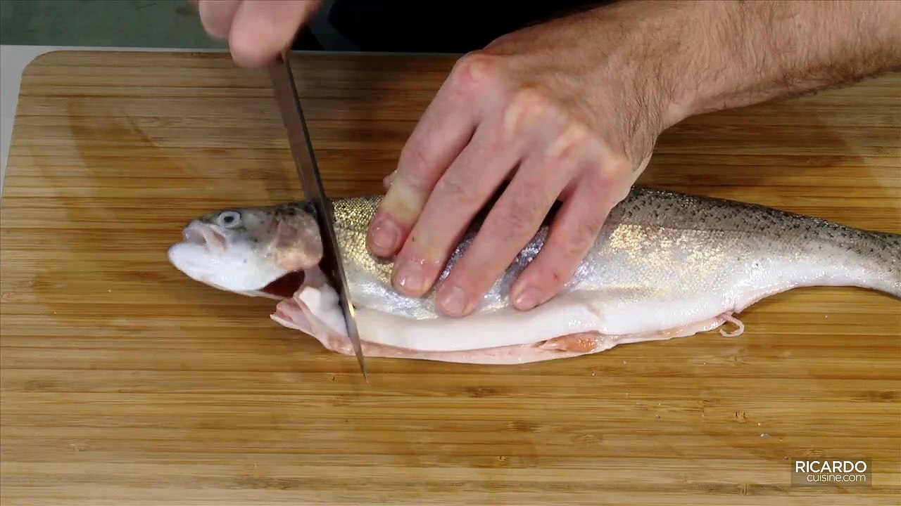 Comment lever un filet de poisson - Vidéo Dailymotion