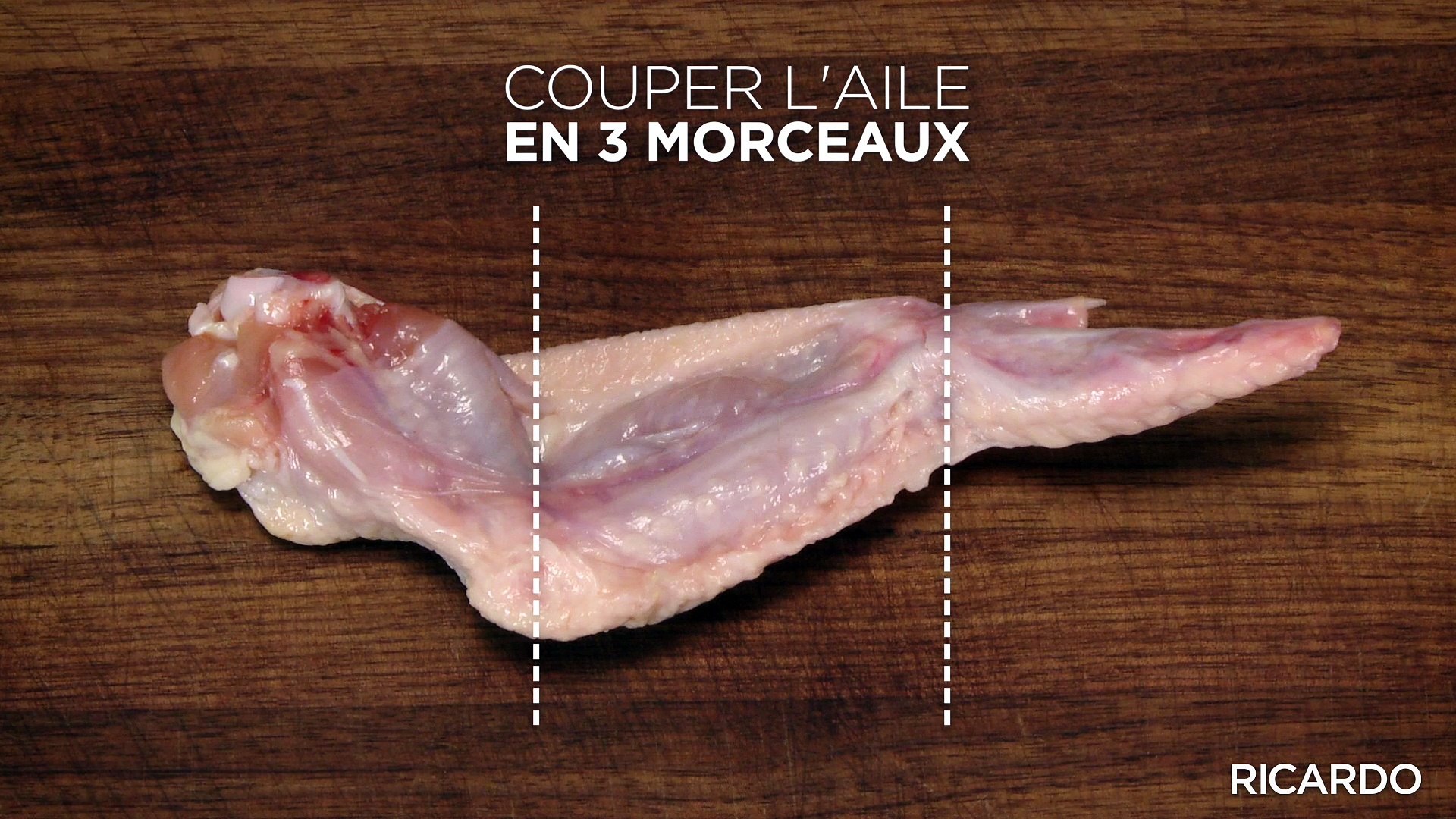 Dissection D'aile De Poulet