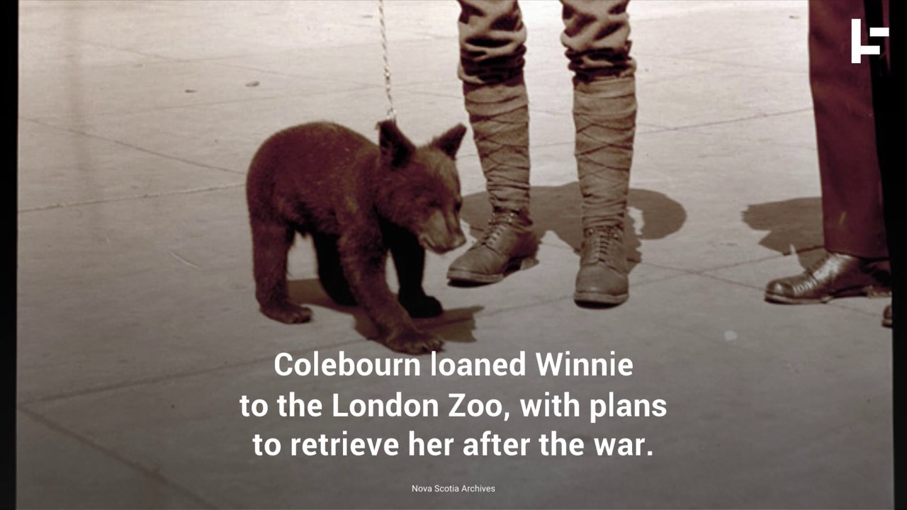 The True Story of Winnie the Pooh - video Dailymotion