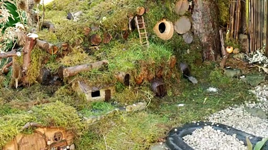 George the Mouse In the Log Pile House/ Simon Dell videos - dailymotion