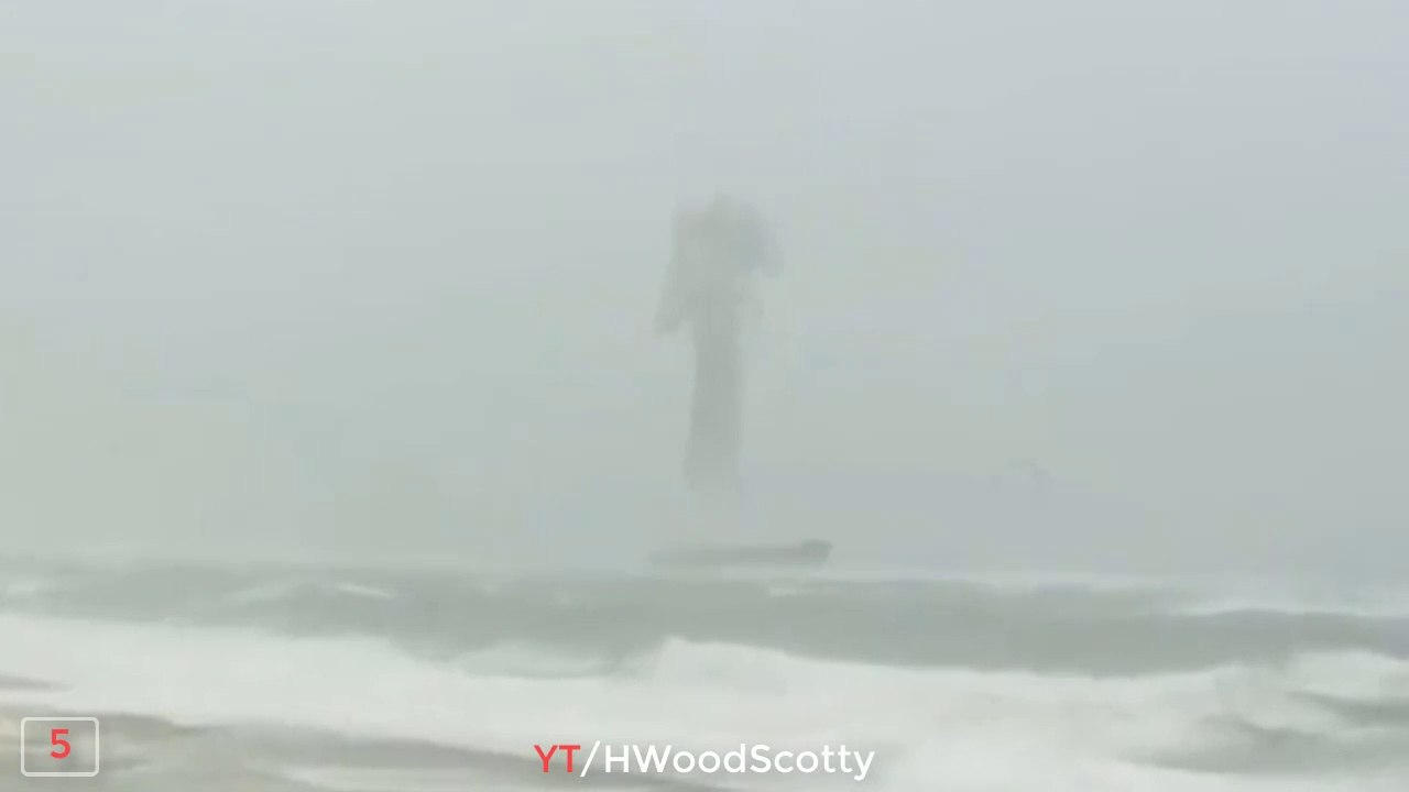 5 SEA SERPENTS CAUGHT ON CAMERA & SPOTTED IN REAL LIFE! - video Dailymotion