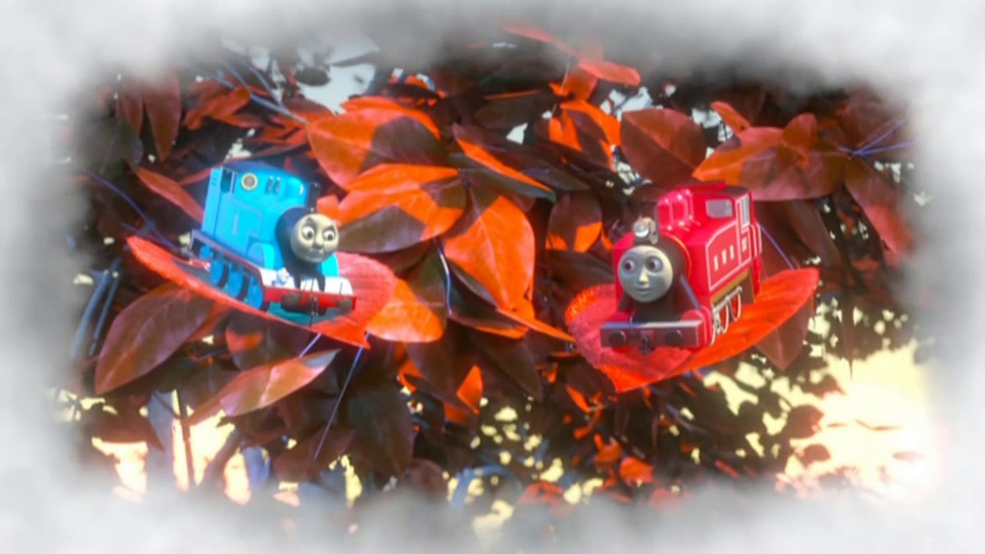 Thomas Rosie Red