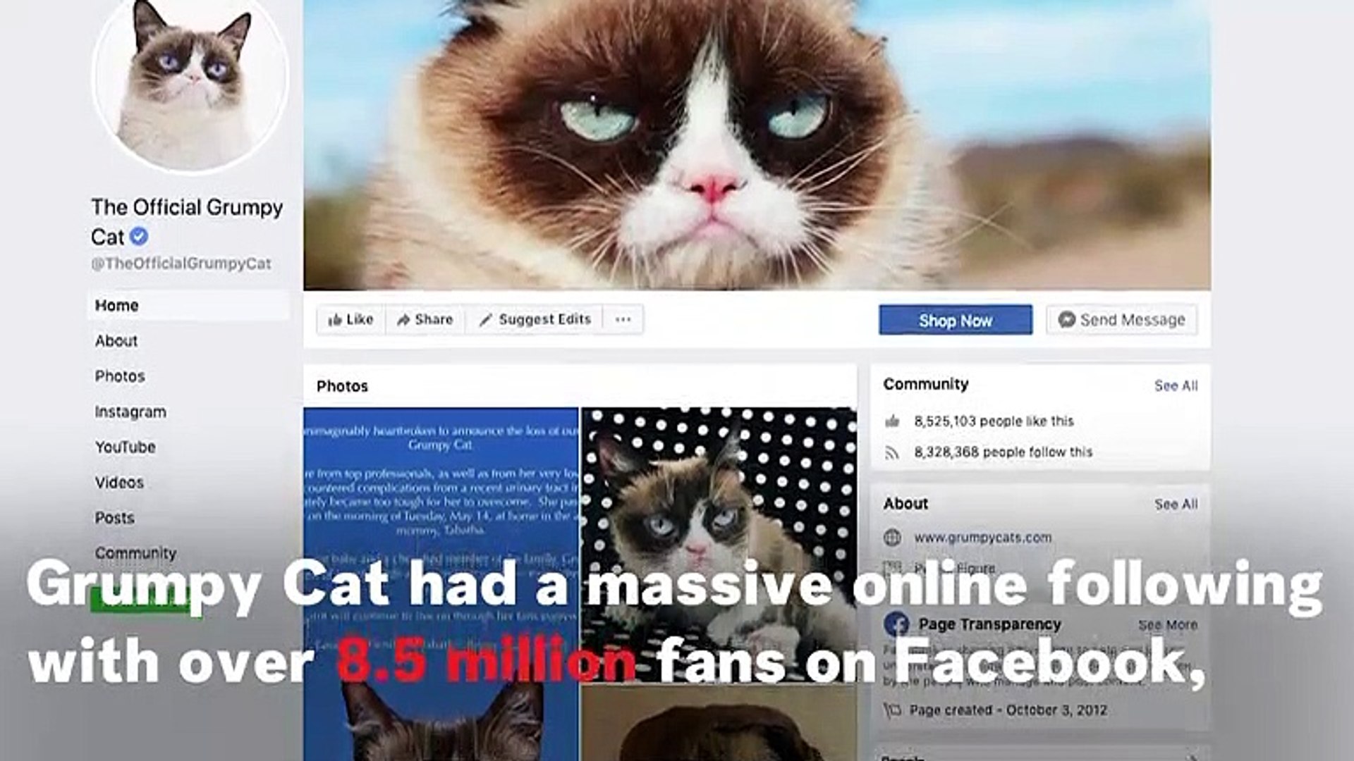 Grumpy Cat Facebook Banner
