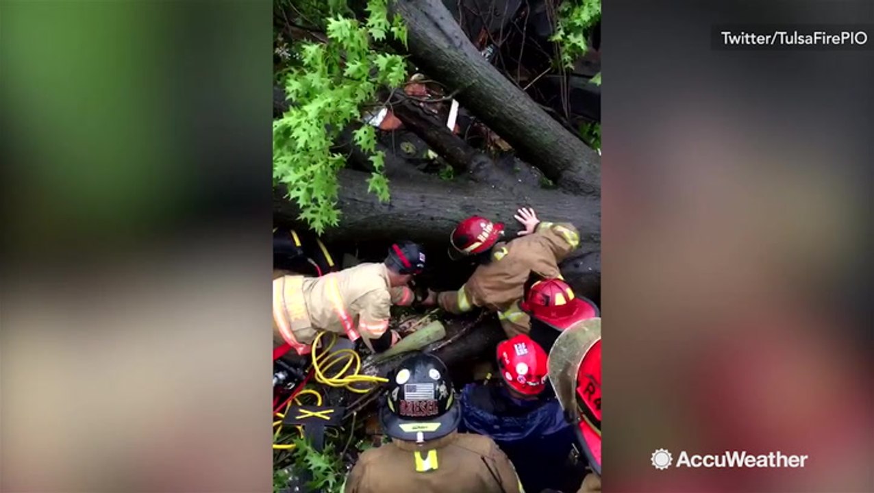 Firefighters rescue man trapped under fallen tree - video Dailymotion