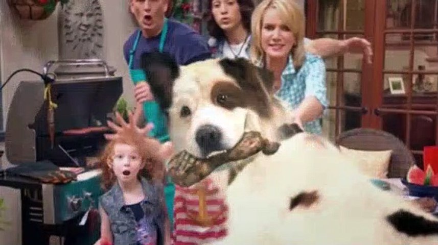Dog With A Blog Season 1 By Girl Meets World Dailymotion