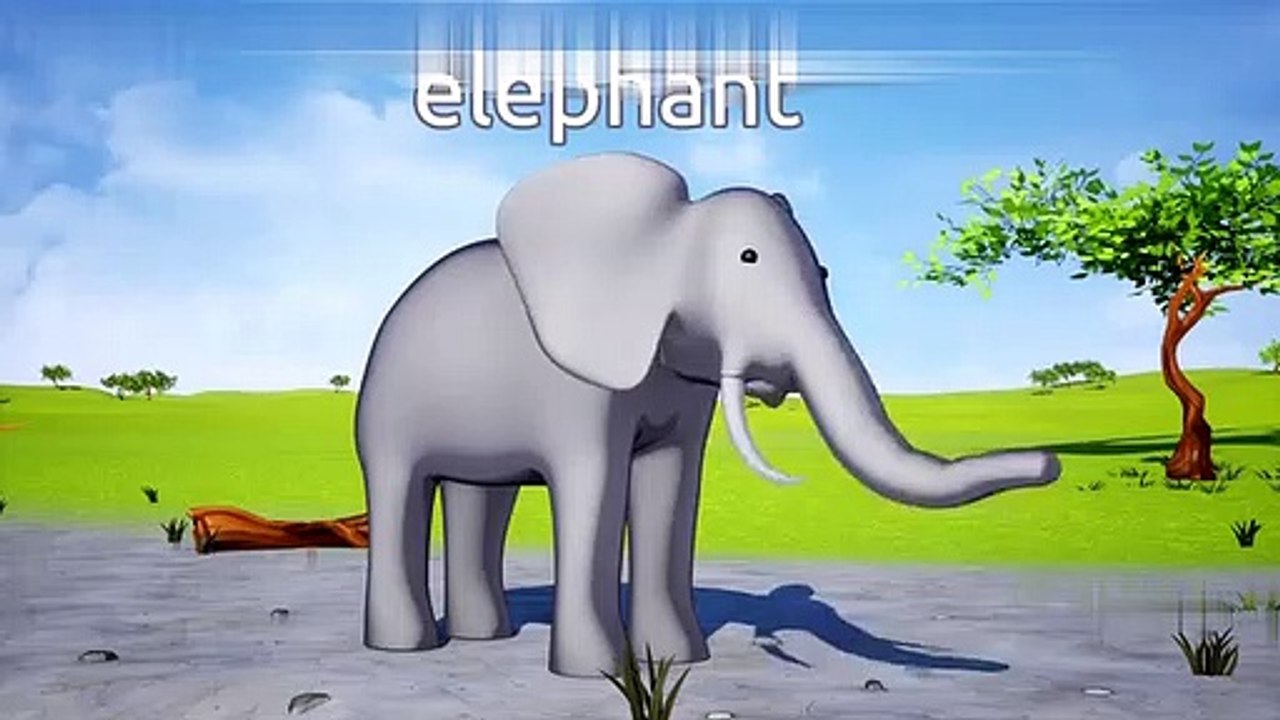 Wild animals name and sound - video Dailymotion