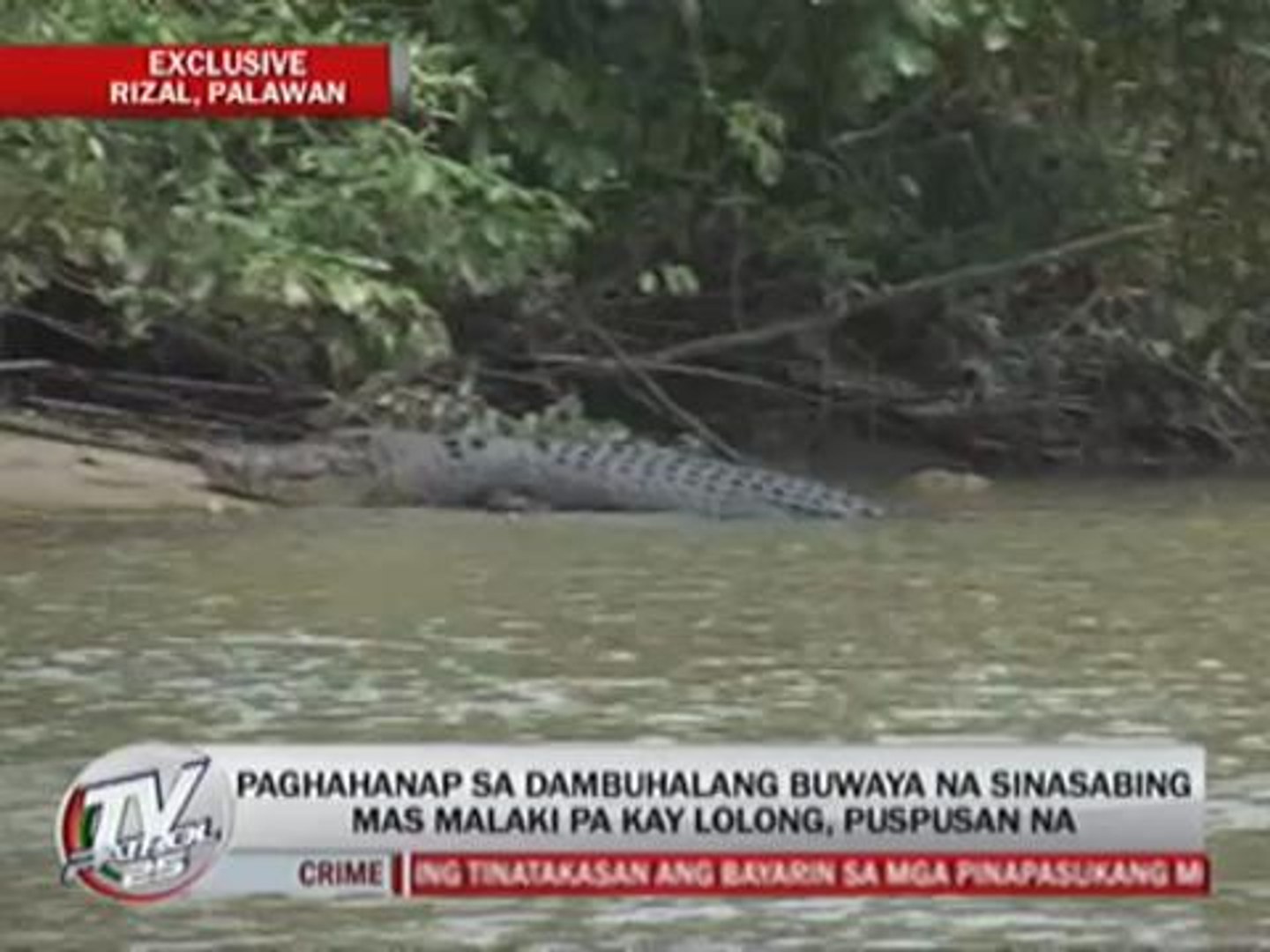 Buwaya Lolong