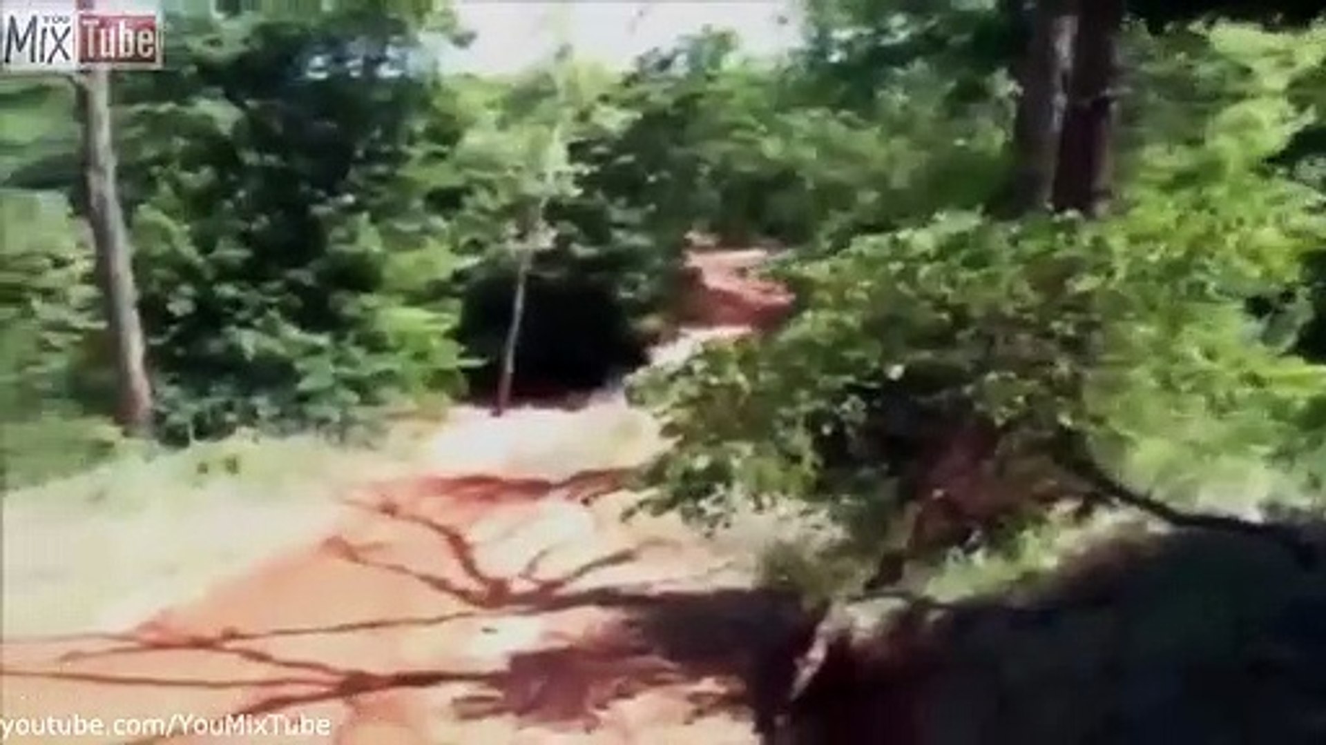 Epic Motorcycle Fails