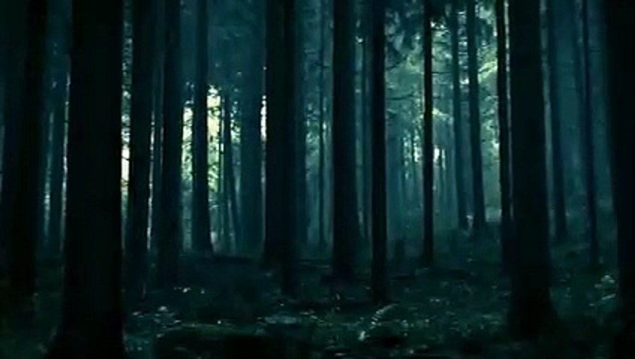 sdasd asd asd asd as das dasd - video Dailymotion