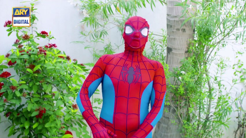 Bulbulay 1 by ARY Digital - dailymotion