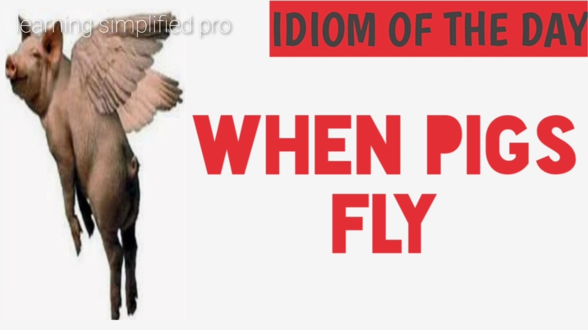 Pigs Fly Meme When Pigs Fly ESL Idioms #gigglesenglish