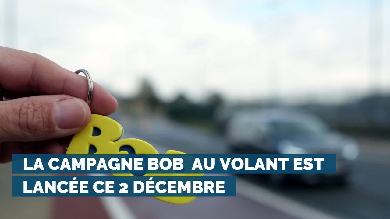 La nouvelle campagne BOB débute ce lundi - Vidéo Dailymotion