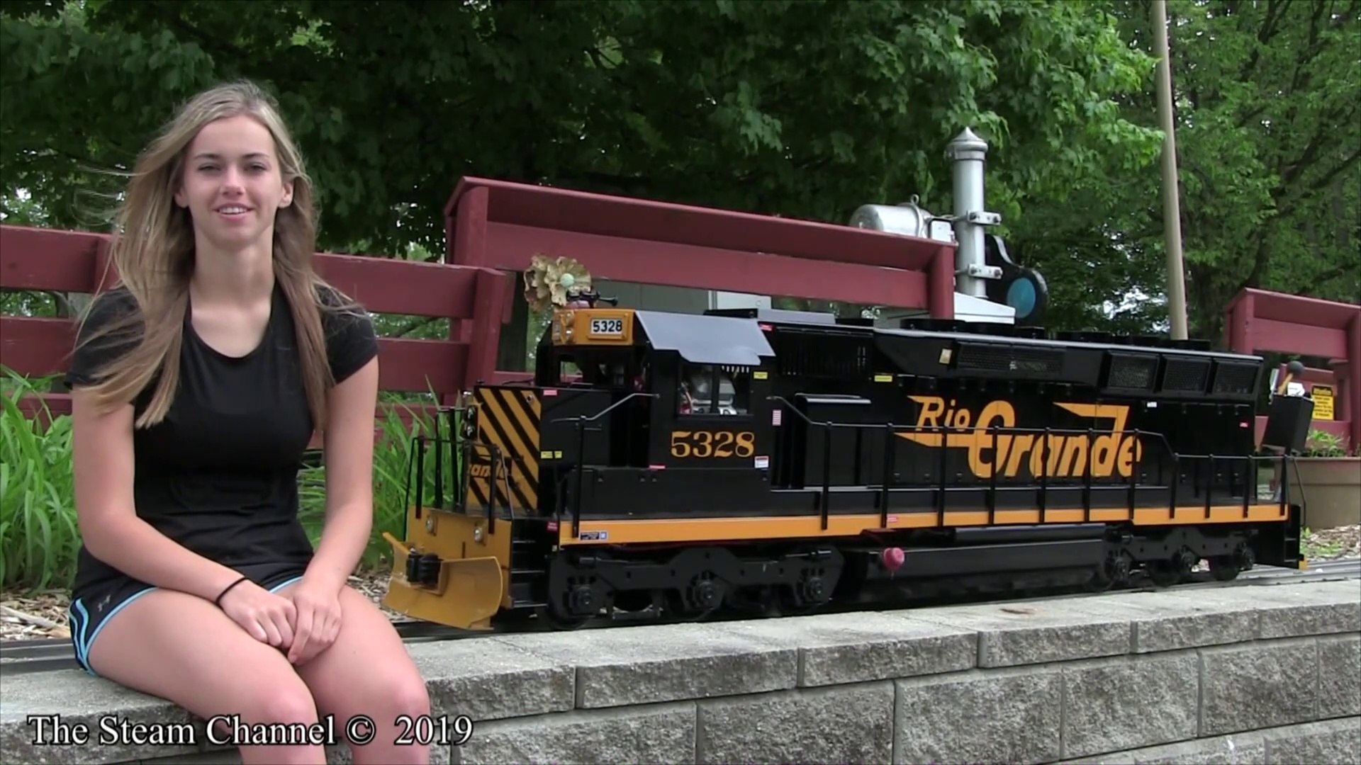 Steam Locomotive Diesel Locomotive