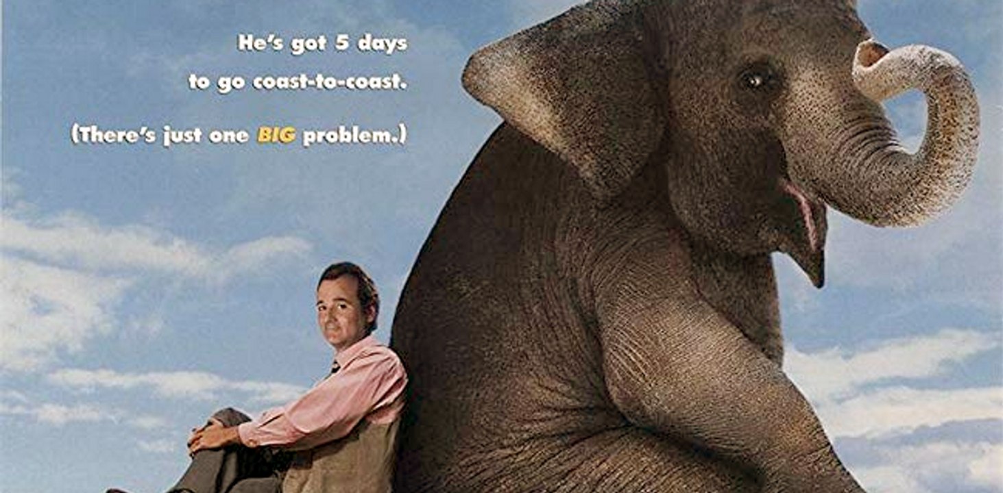 Larger Than Life Movie (1996) Jerry Adler, Bill Murray, Richard Alan ...