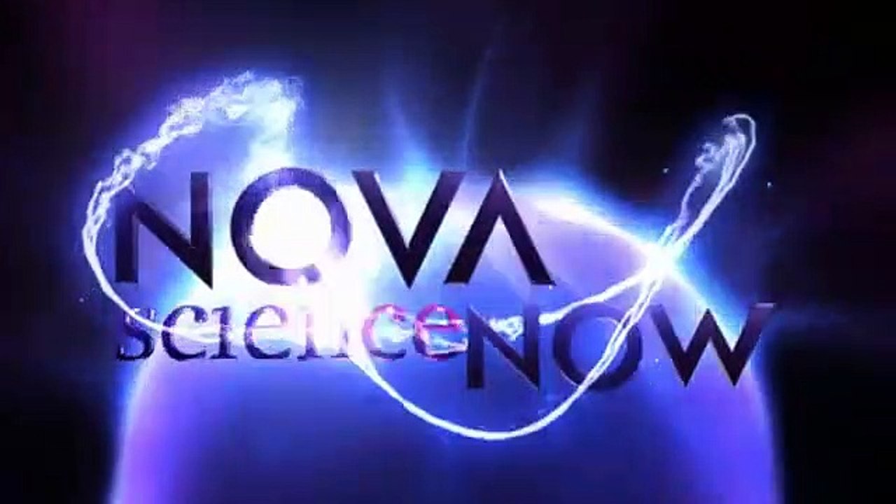 NOVA scienceNOW | How Does The Brain Work? - Vídeo Dailymotion