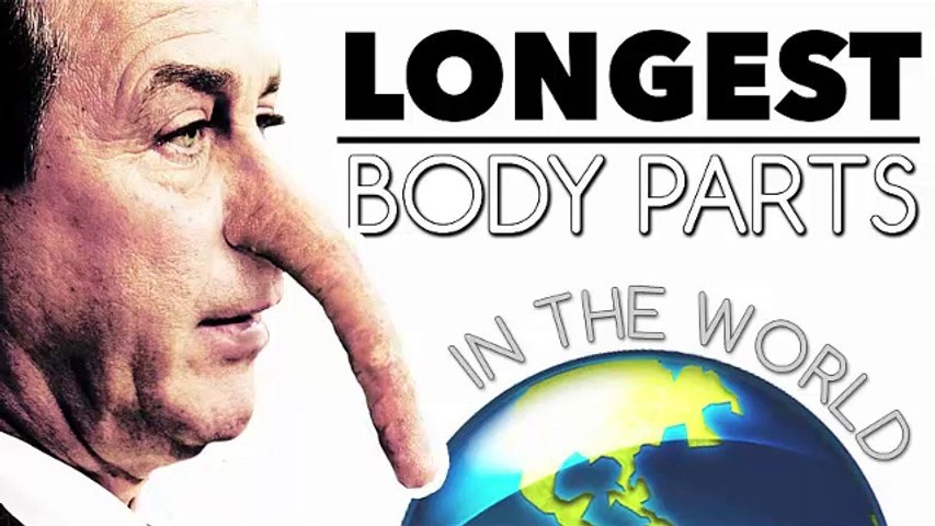 Largest Body Parts