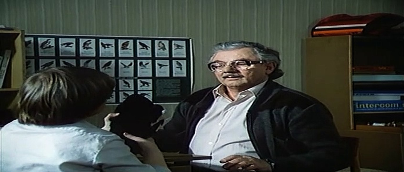 Der ZauberRabe Rumburak Teil1 - video Dailymotion