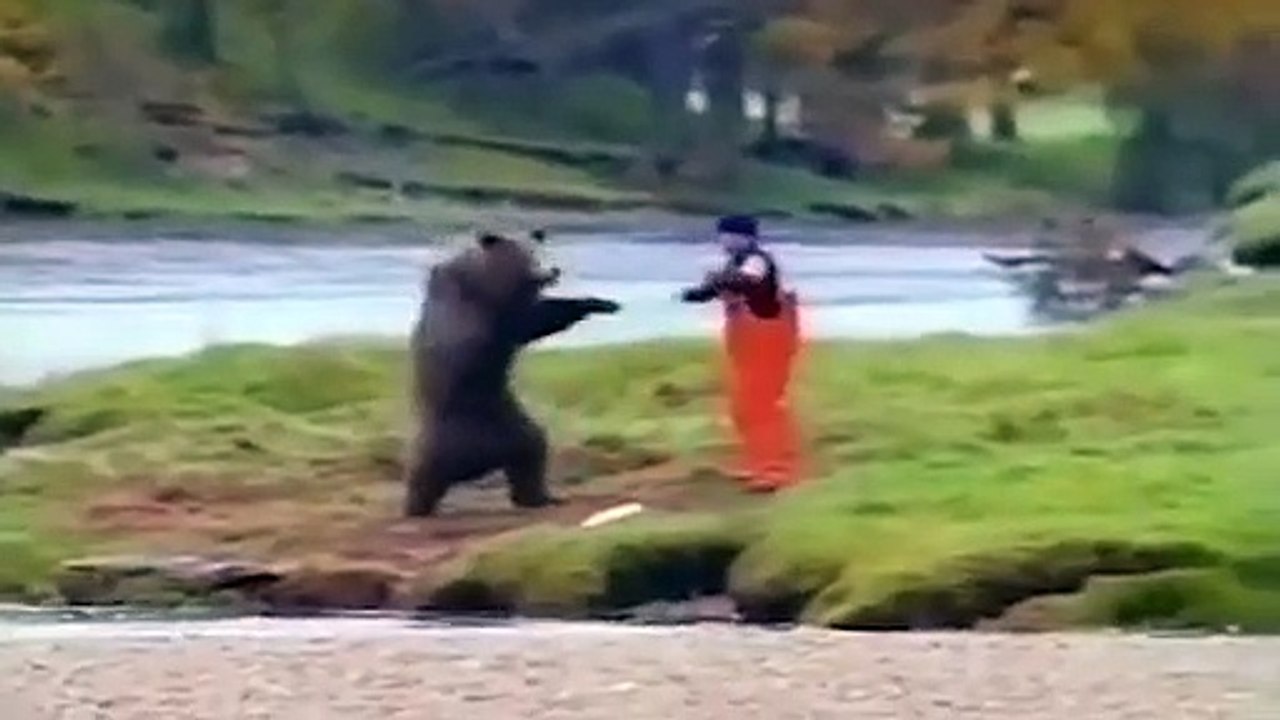 How To Fight A Bear Real Animal Fight Bear Vs Human The terrible ...
