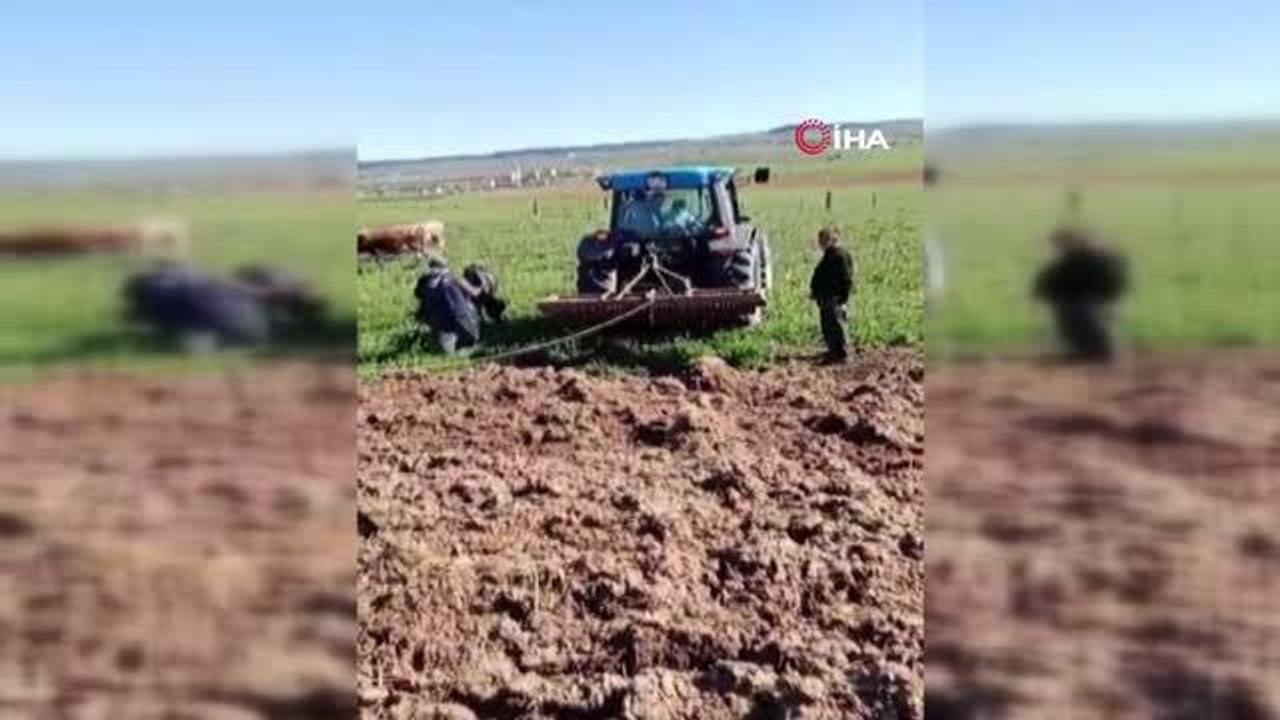 Çiftçinin manda kurtarma yayını izleyenleri gülümsetti - Dailymotion Video