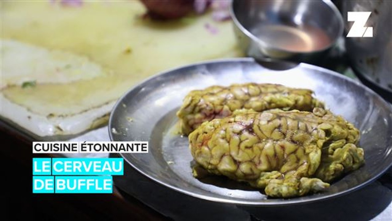 Cuisine étonnante : mangez du cerveau ! - Vidéo Dailymotion