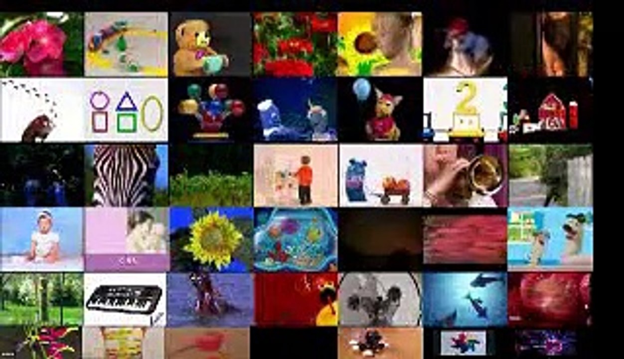 42 Baby Einstein Videos Played At Once Video Dailymotion